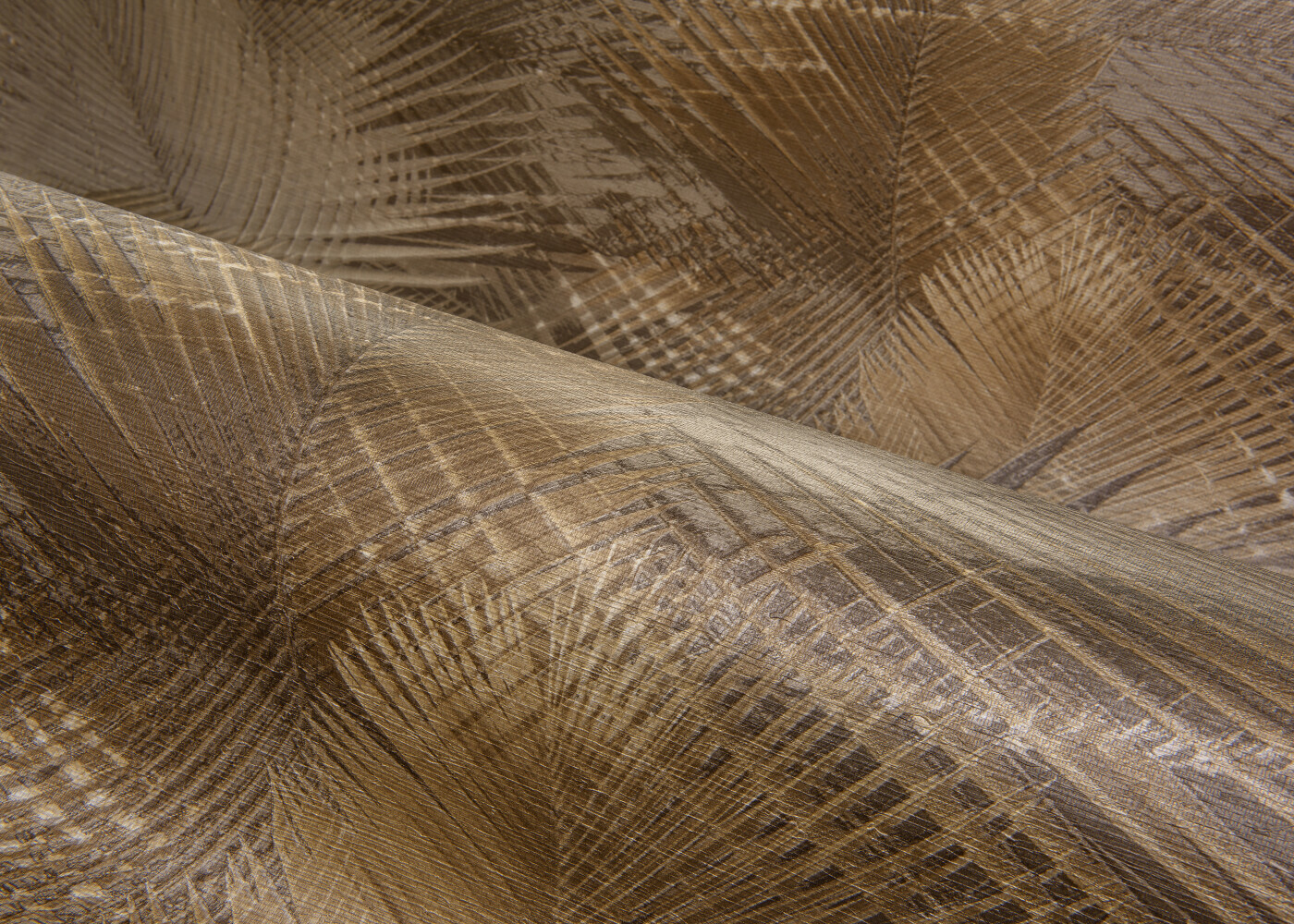 Sequoia — Arte