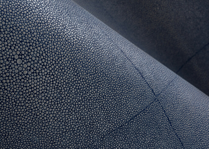 Shagreen — Arte