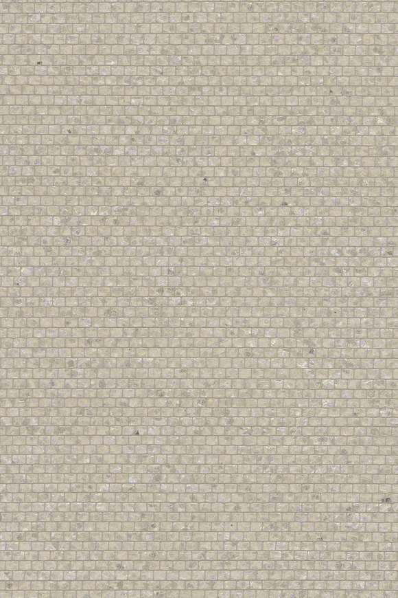 Shimmer — Arte