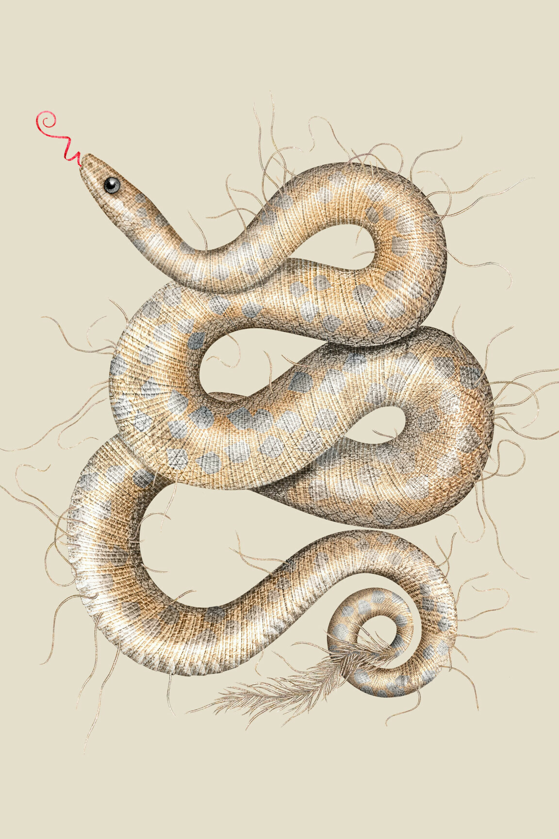 Queen Cobra — Arte